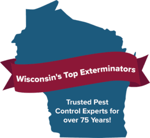 The Rapid Reproduction Rate of Mice